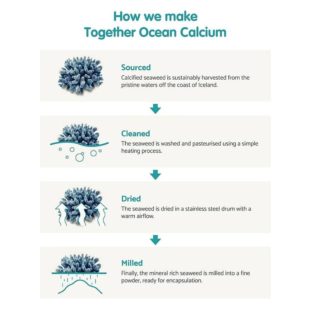 Together Calcium From Pure Calcified Seaweed - 30caps
